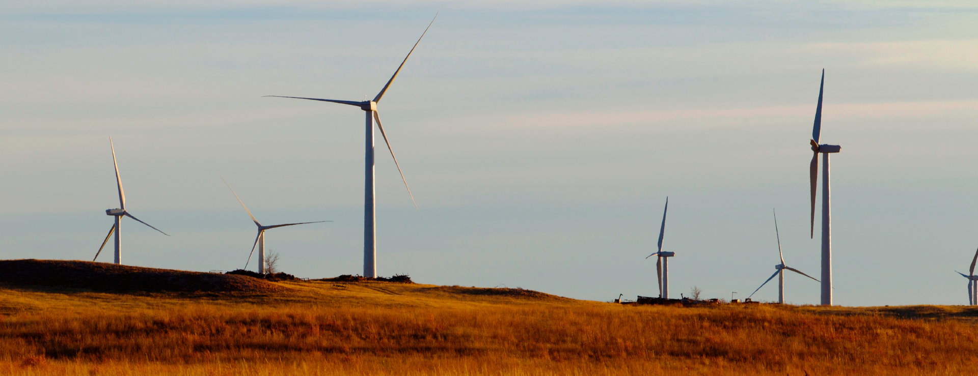 The Renewable Energy Landscape | AEP Energy