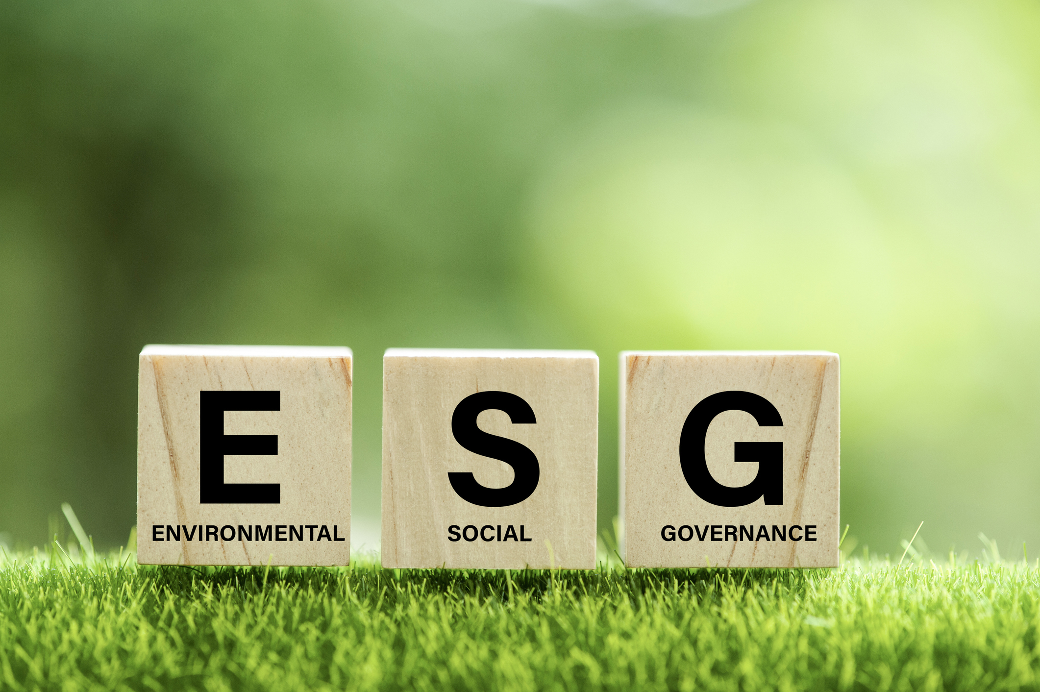 Responsible ESG Reporting Standards – When Caveat Emptor Doesn’t Cut It ...