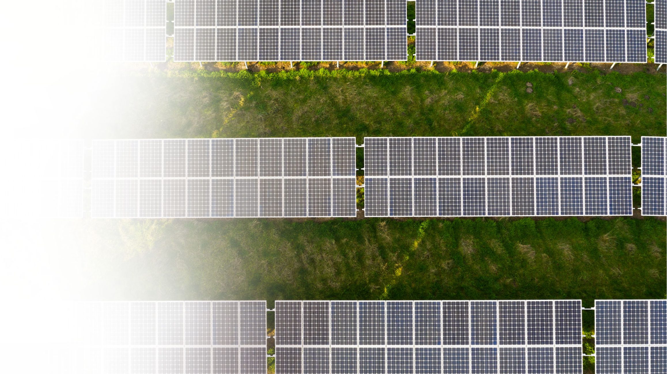Sustainability and Renewable Energy | AEP Energy